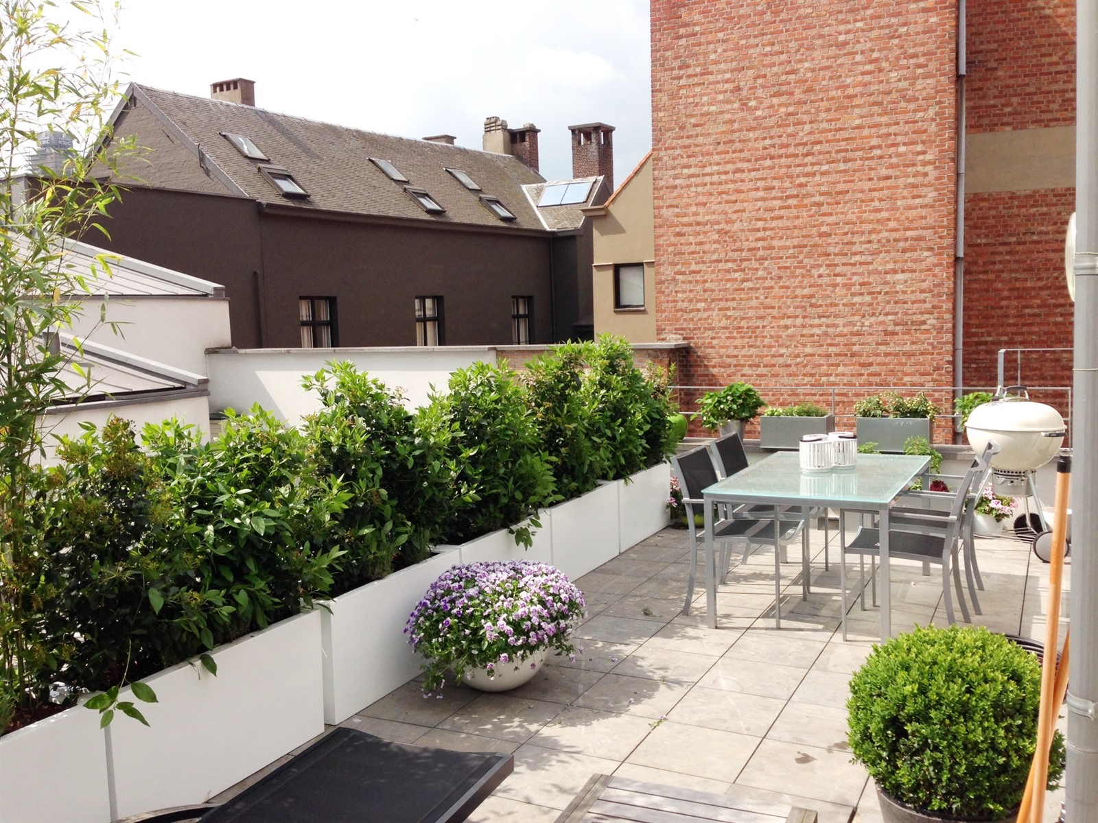 Terrasplanten kopen of huren? Verkoop en verhuur van planten voor uw terras