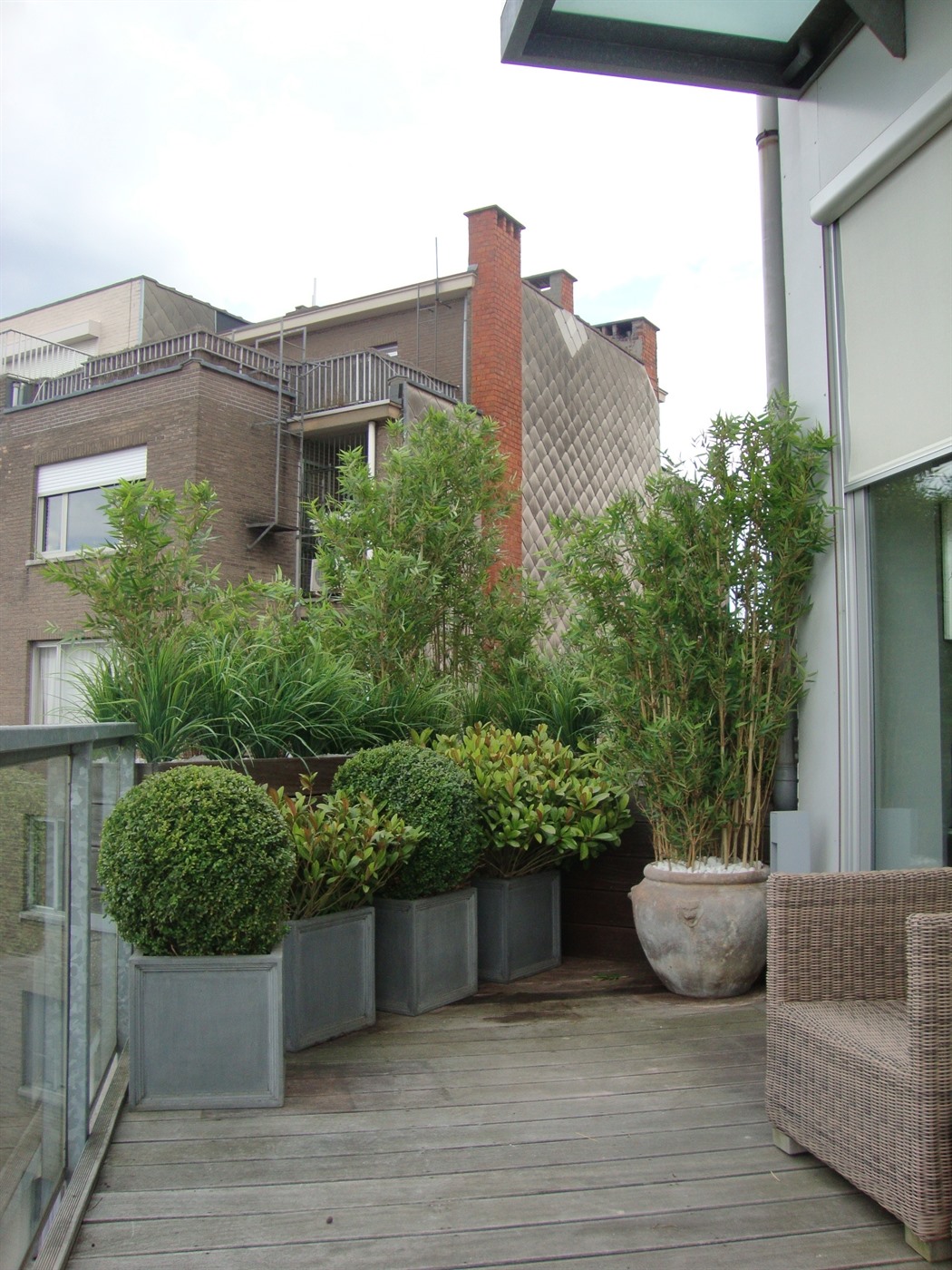 Terrasplanten kopen of huren? Verkoop en verhuur van planten voor uw terras